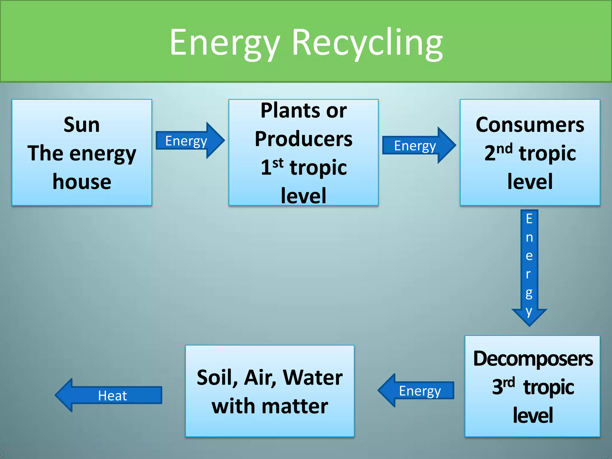 Laws of Thermodynamics in an Ecosystem | PDF