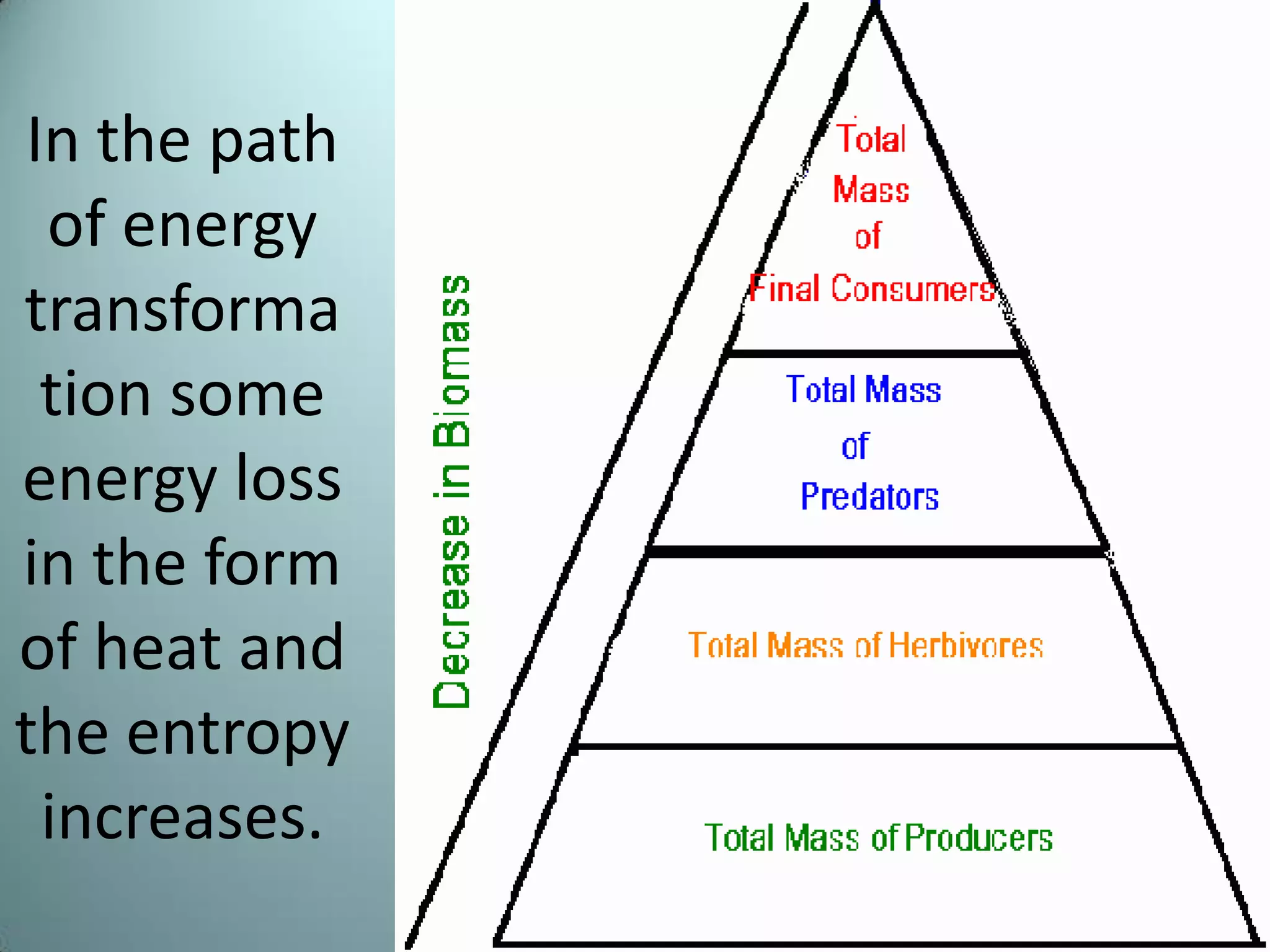 Laws of Thermodynamics in an Ecosystem | PDF
