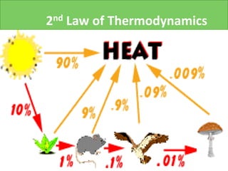 Laws of Thermodynamics in an Ecosystem | PDF