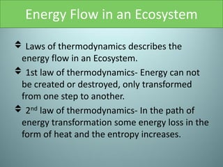 Laws of Thermodynamics in an Ecosystem | PPT
