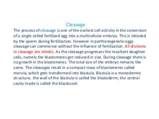 Laws of Cleavage.pdf