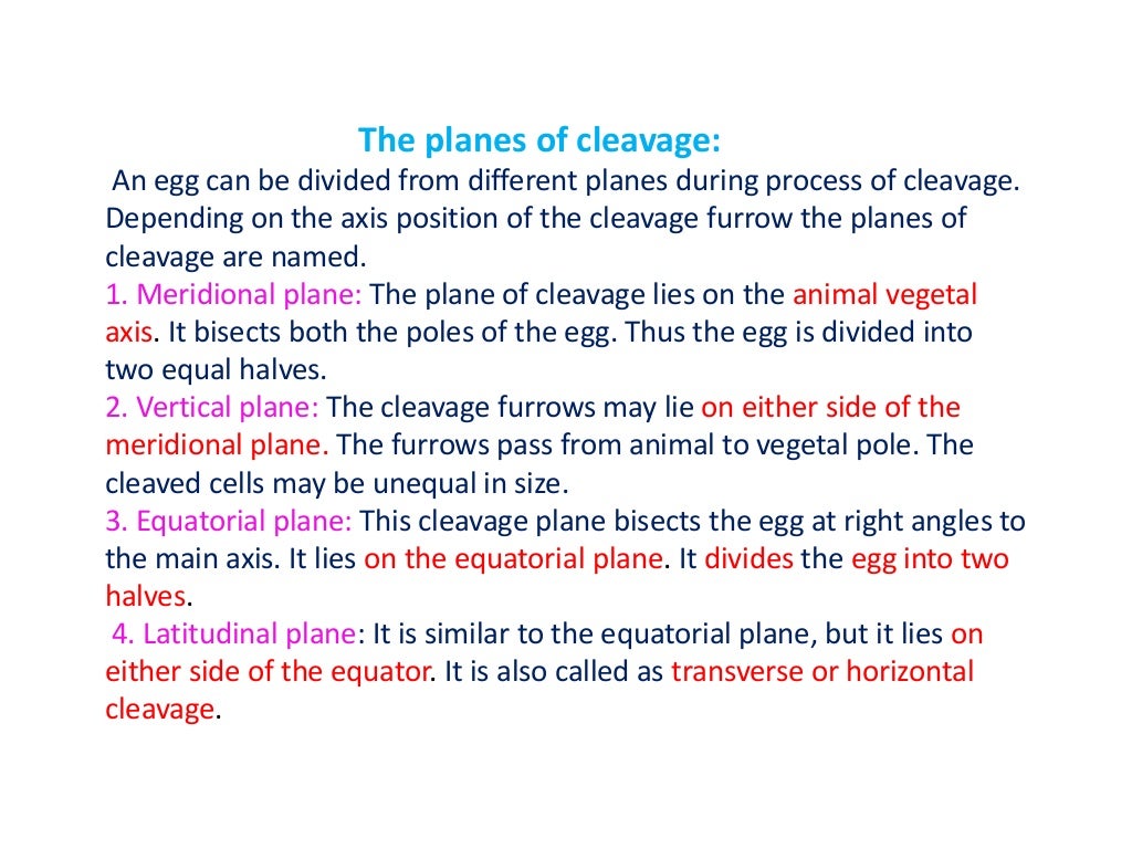 Laws of Cleavage.pdf
