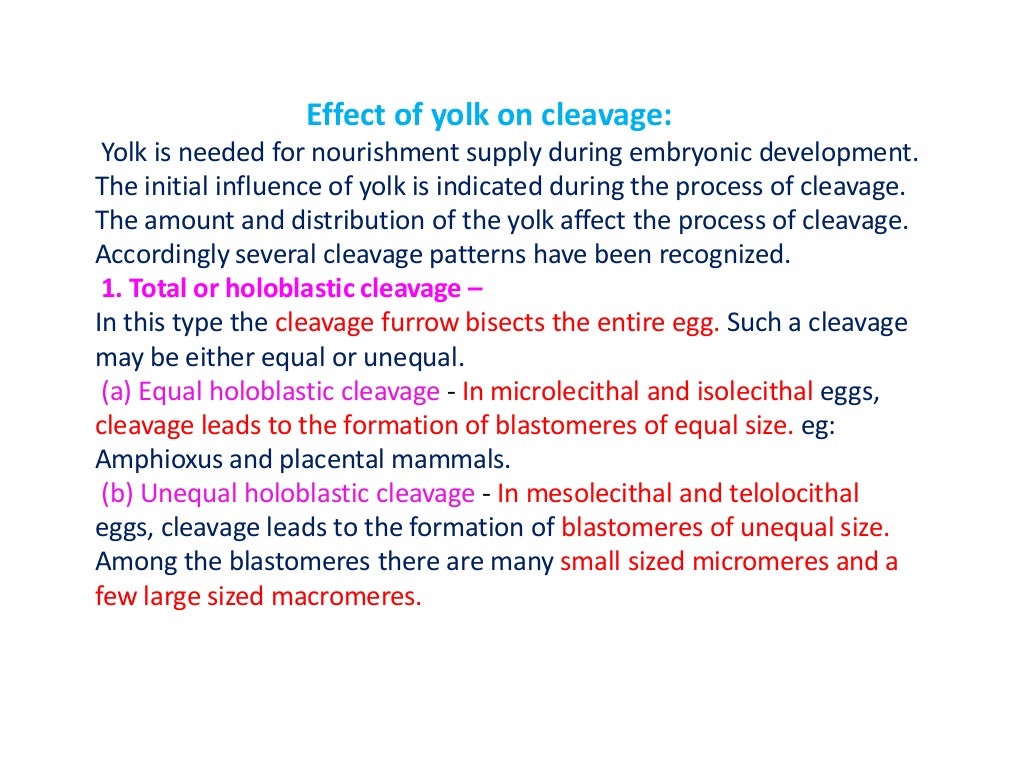 Laws of Cleavage.pdf