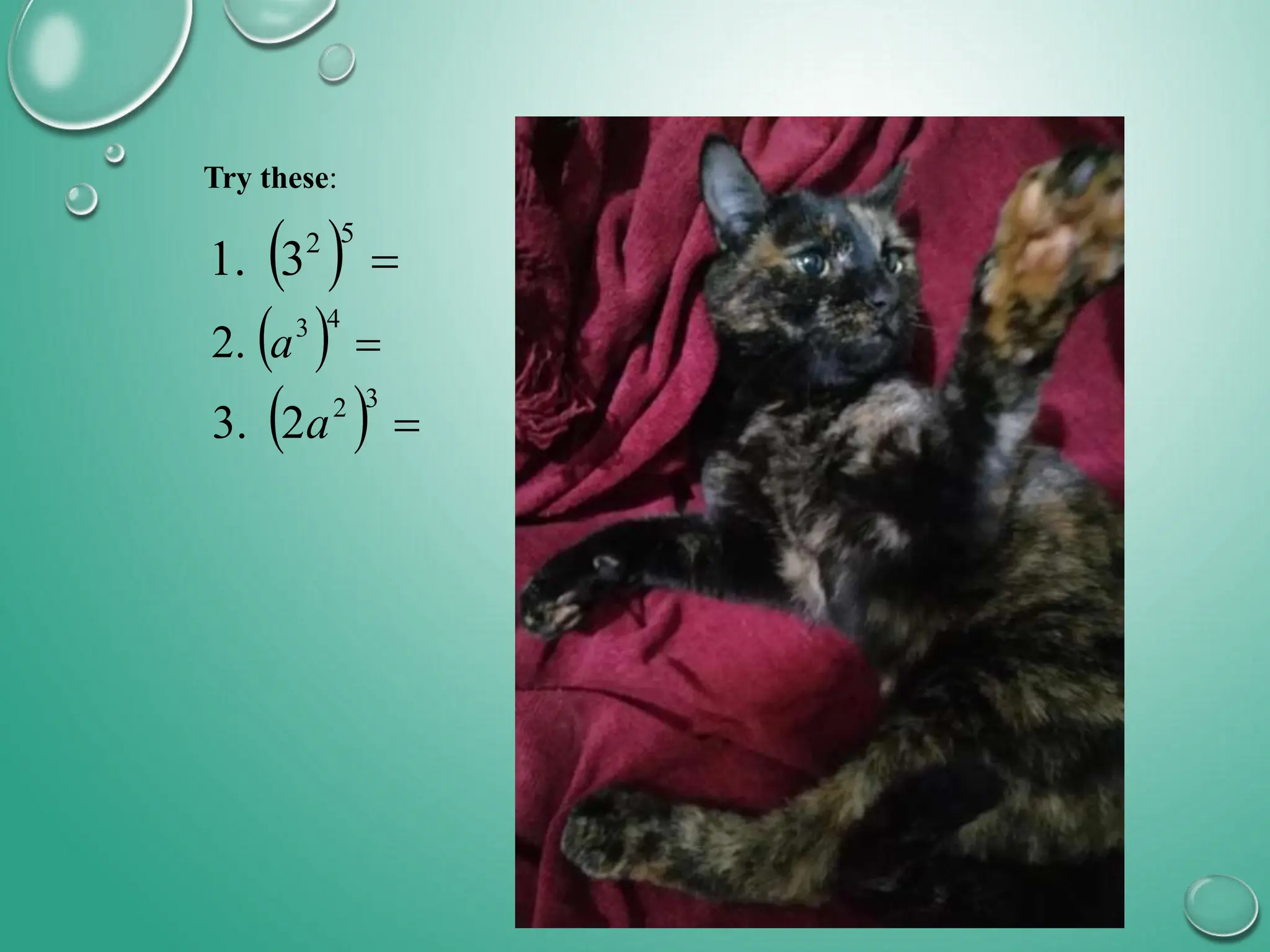Laws of Exponents intro examples and pedmas.pptx
