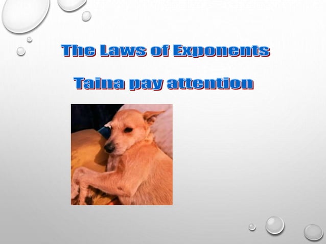 Laws of Exponents intro examples and pedmas.pptx