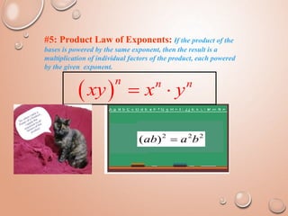 Laws of Exponents intro examples and pedmas.pptx