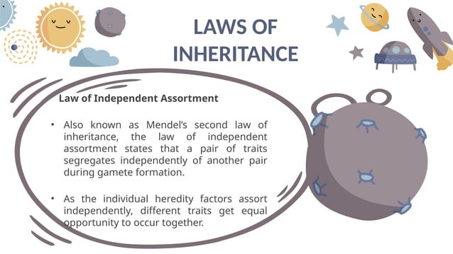 laws of inheritance by Mendels theory.pptx