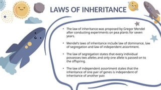 laws of inheritance by Mendels theory.pptx