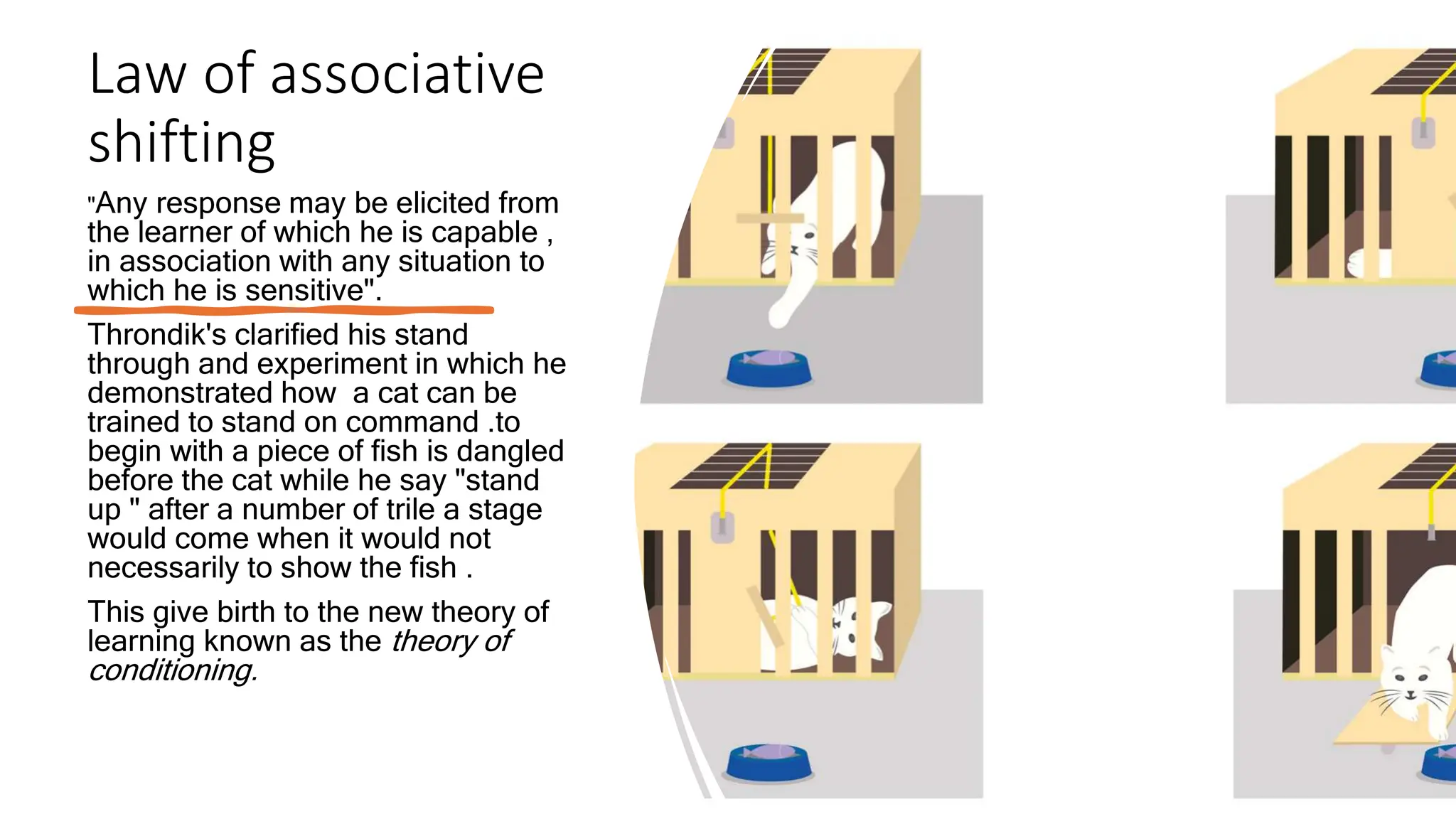 laws of learning .pptx