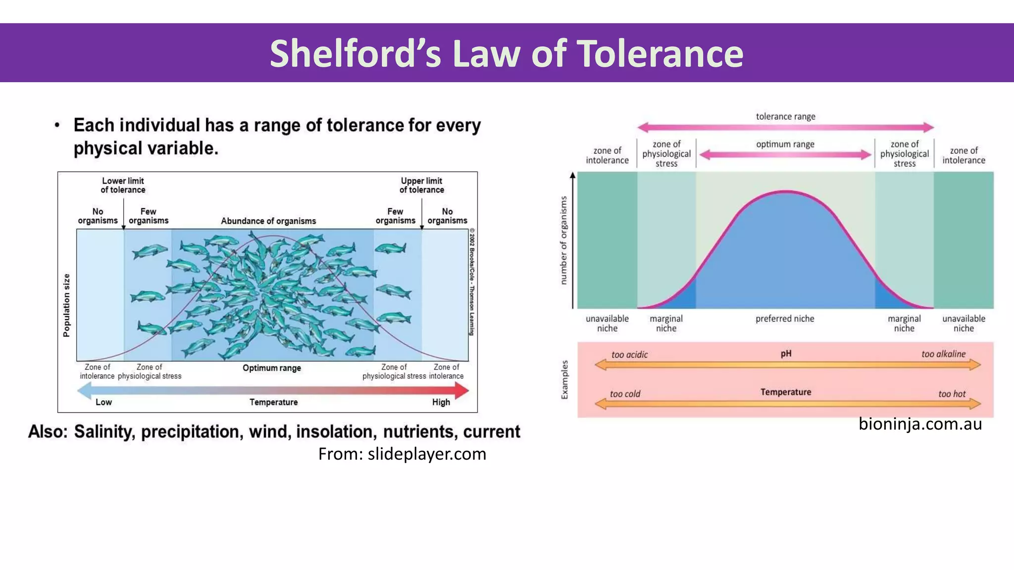 Laws of limiting factors | PPTX