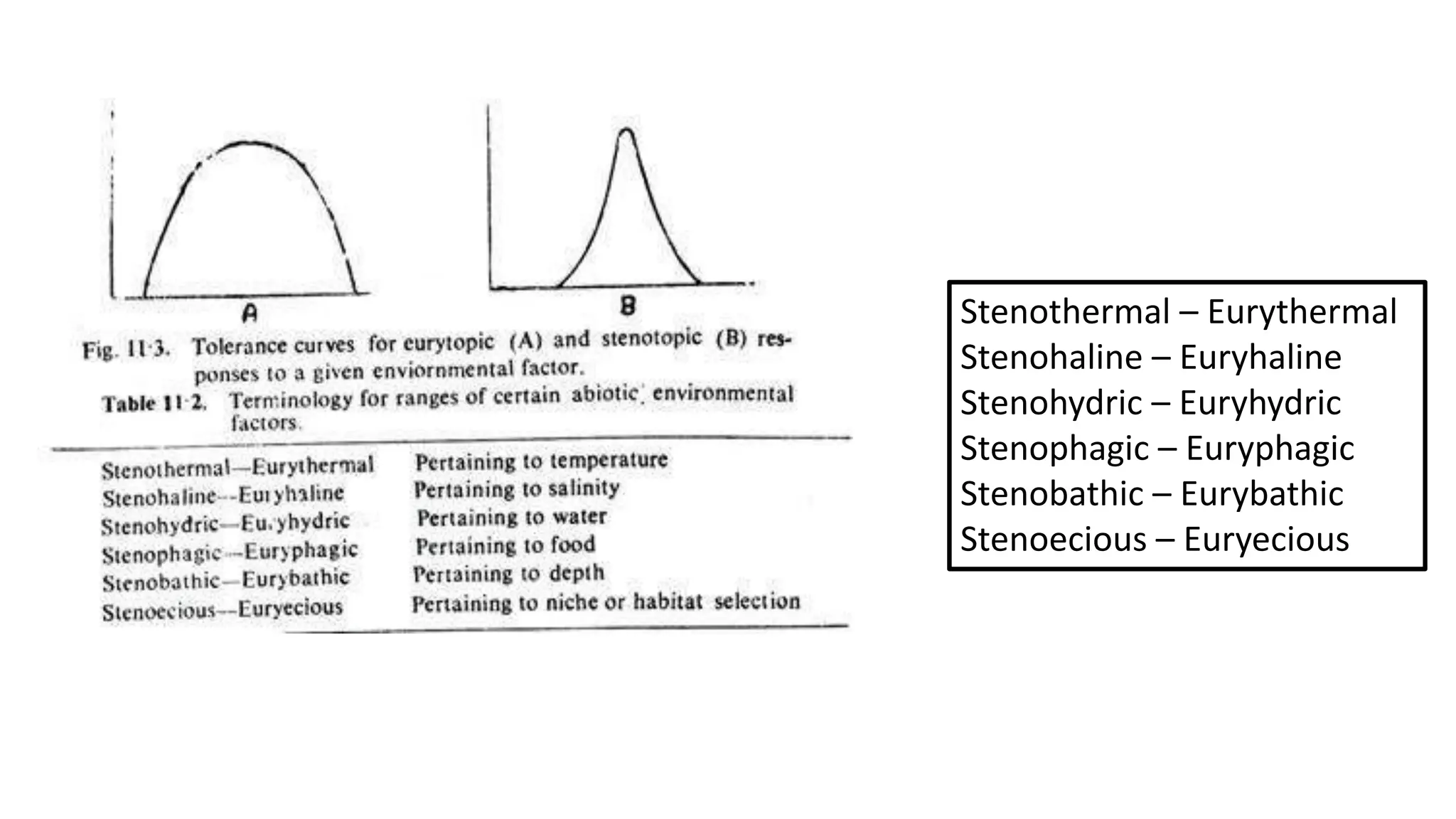Laws of limiting factors | PPTX