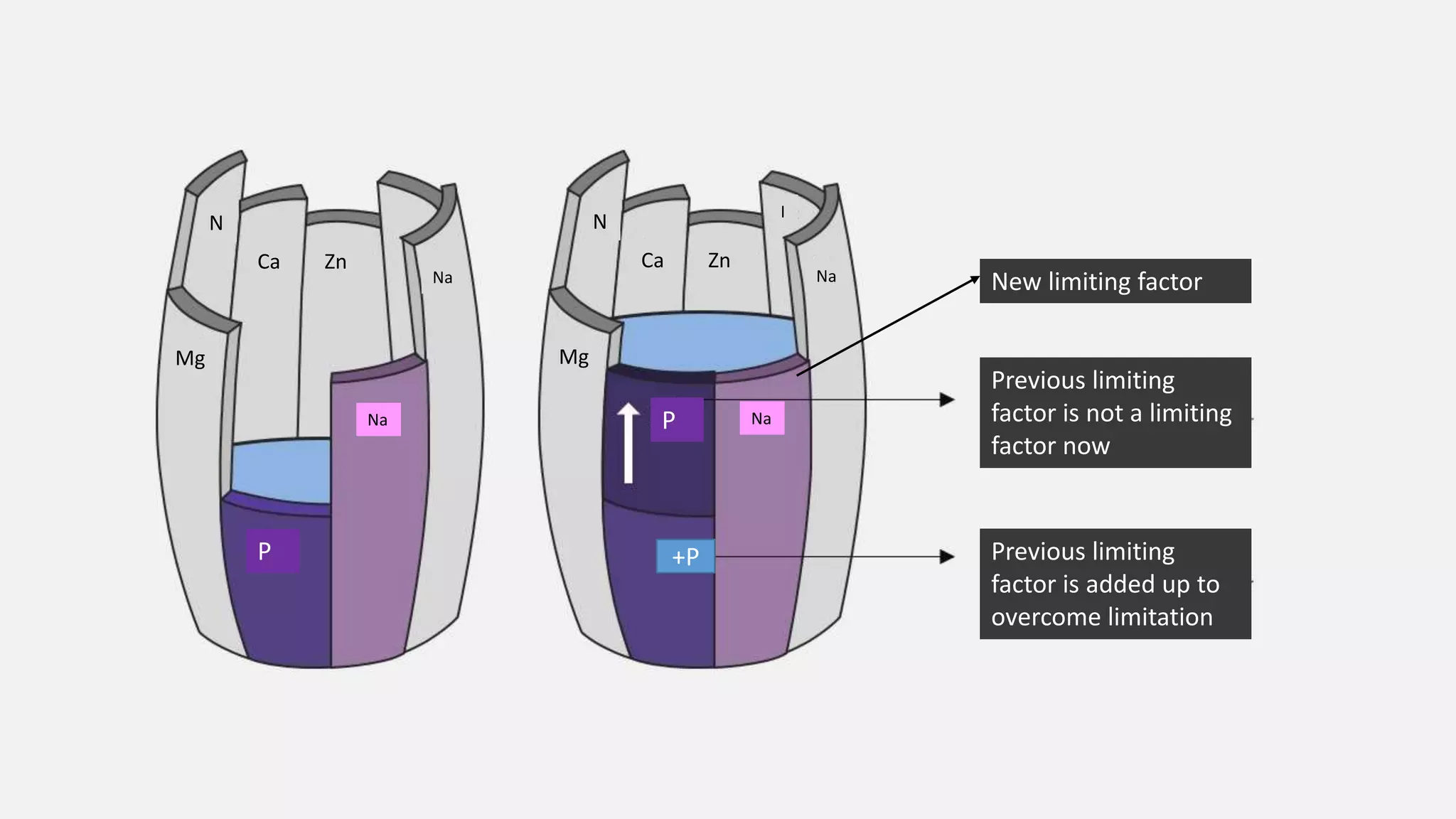 Laws of limiting factors | PPTX