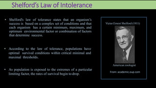 Laws of limiting factors | PPTX
