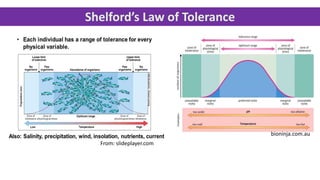Laws of limiting factors | PPTX