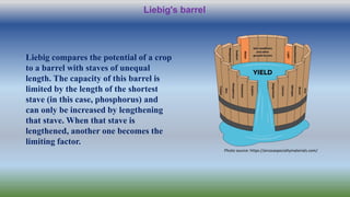 Laws of limiting factors | PPTX