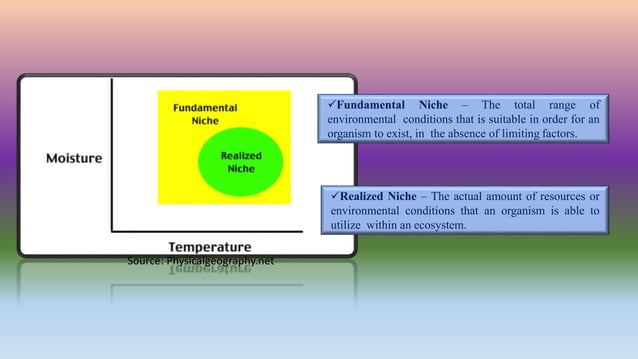 Laws of limiting factors | PPTX | Geography | Science