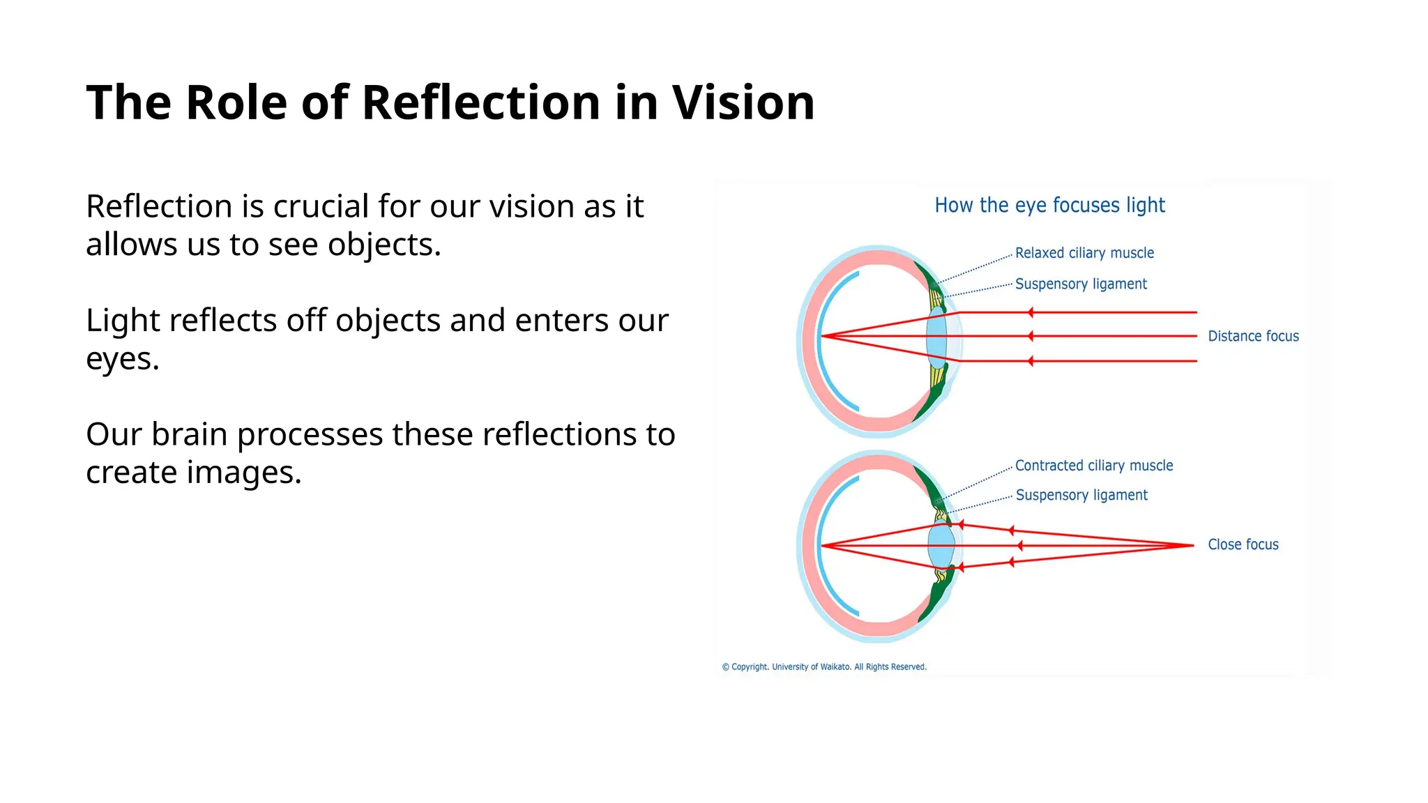 Laws Of Reflection From Kerala Syllabus 7 Th Grade.pptx