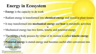 Laws of thermodynamics .ecology introduction .energy | PPTX