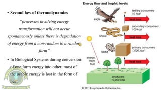 Laws of thermodynamics .ecology introduction .energy | PPTX