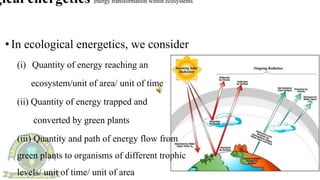 Laws of thermodynamics .ecology introduction .energy | PPTX