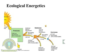 Laws of thermodynamics .ecology introduction .energy | PPTX ...