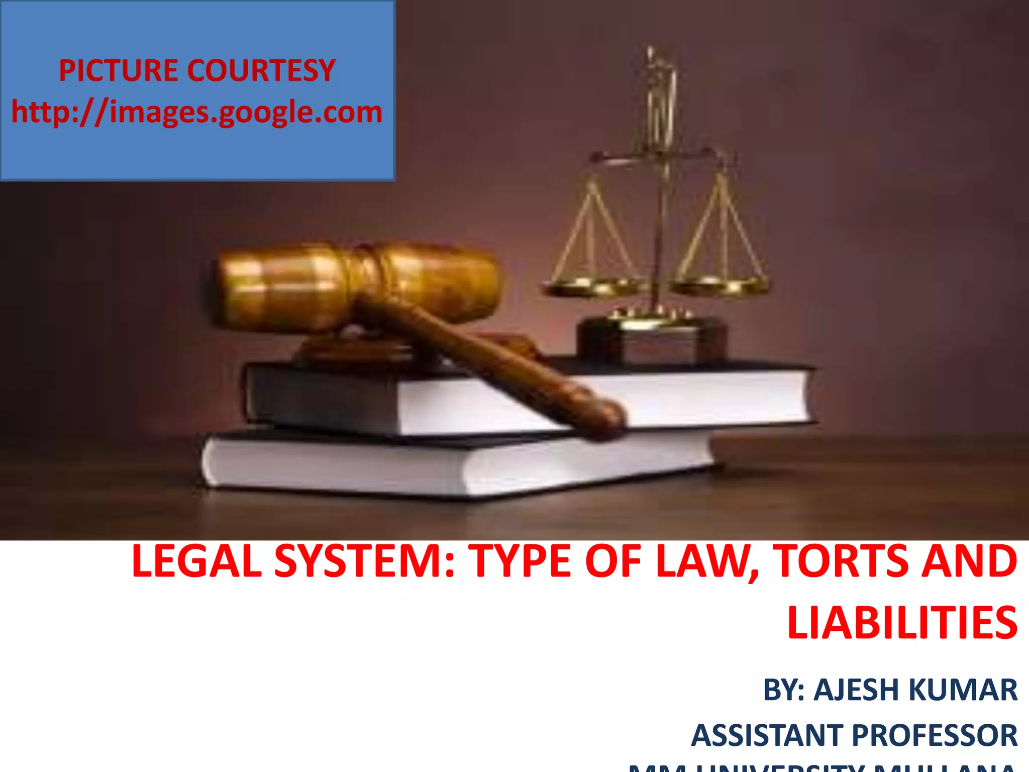 Legal System: Type of law, Torts and Liabilities | PPTX