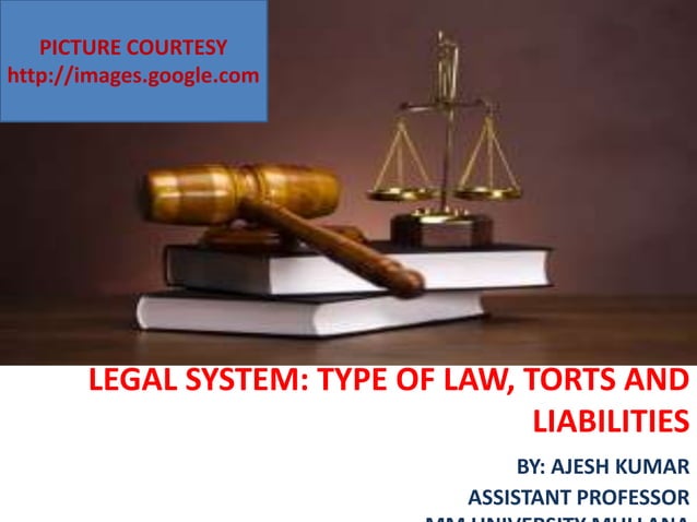 Legal System: Type of law, Torts and Liabilities | PPTX