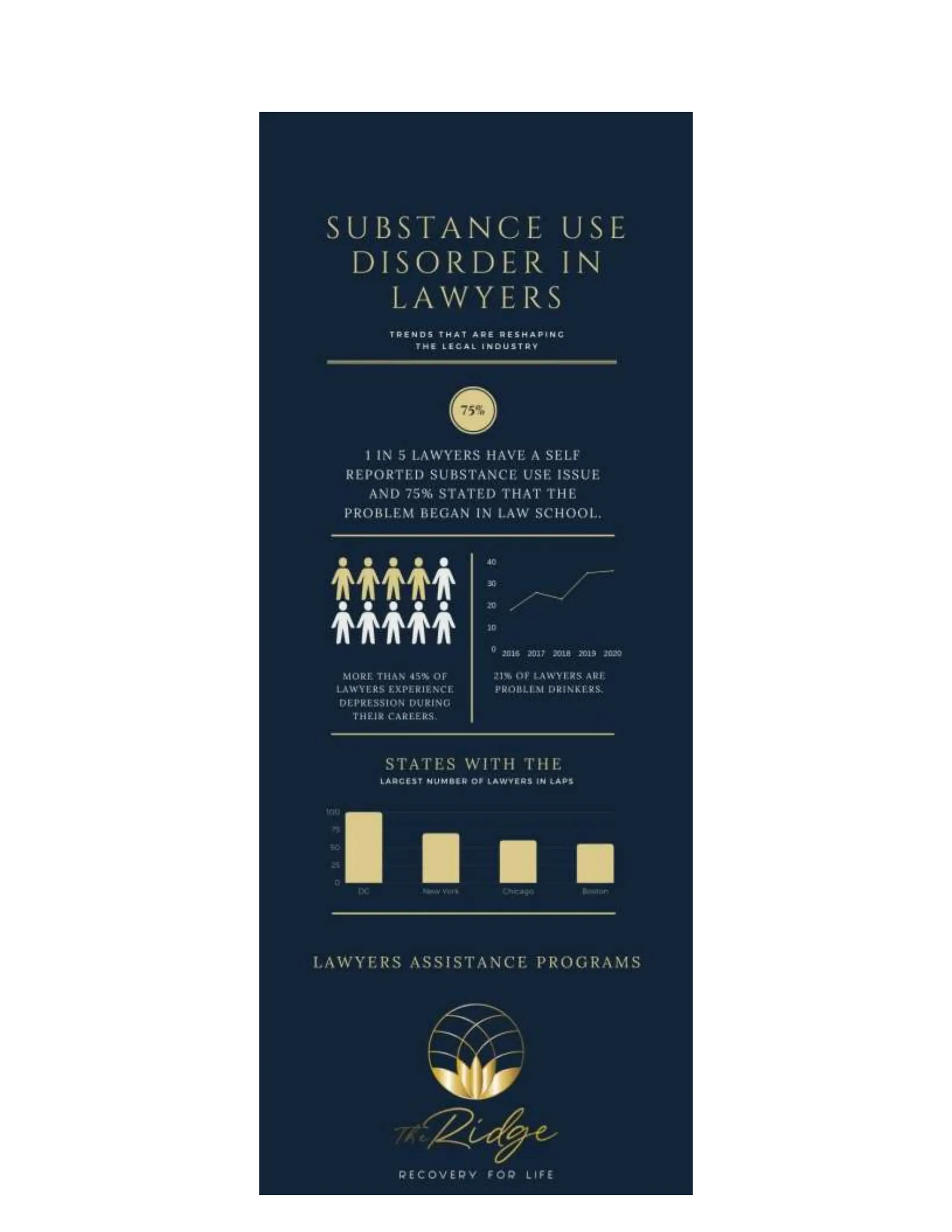 Lawyer Infographic | DOCX