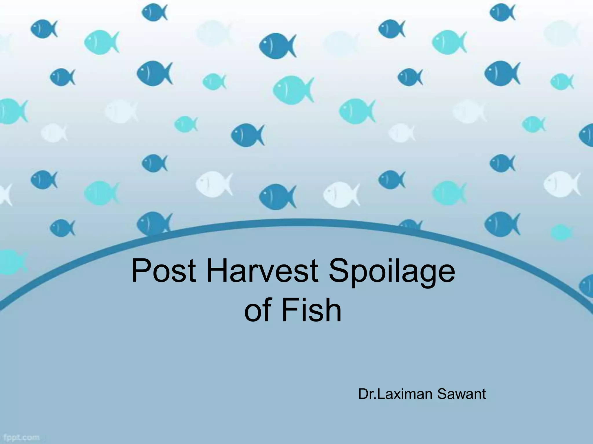 Post Harvest Spoilage of Fish | PPTX