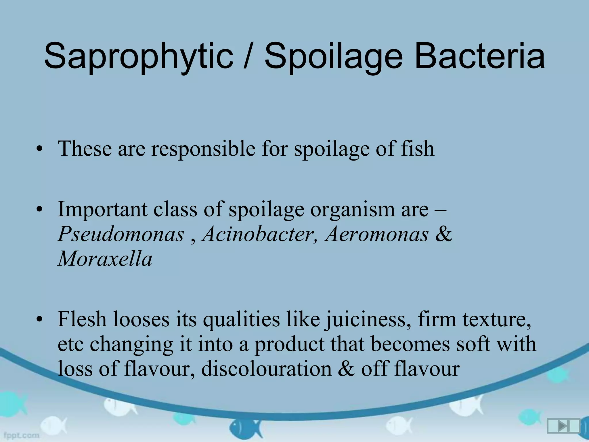 Post Harvest Spoilage of Fish | PPTX