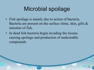 Post Harvest Spoilage of Fish | PPTX