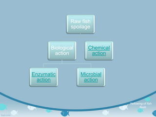 Post Harvest Spoilage of Fish | PPTX