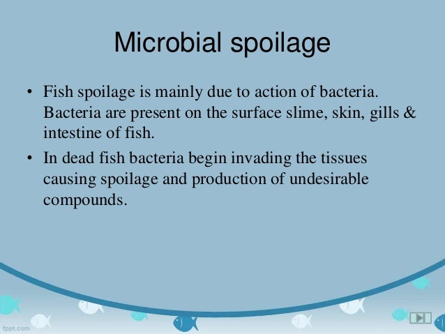 Post Harvest Spoilage of Fish