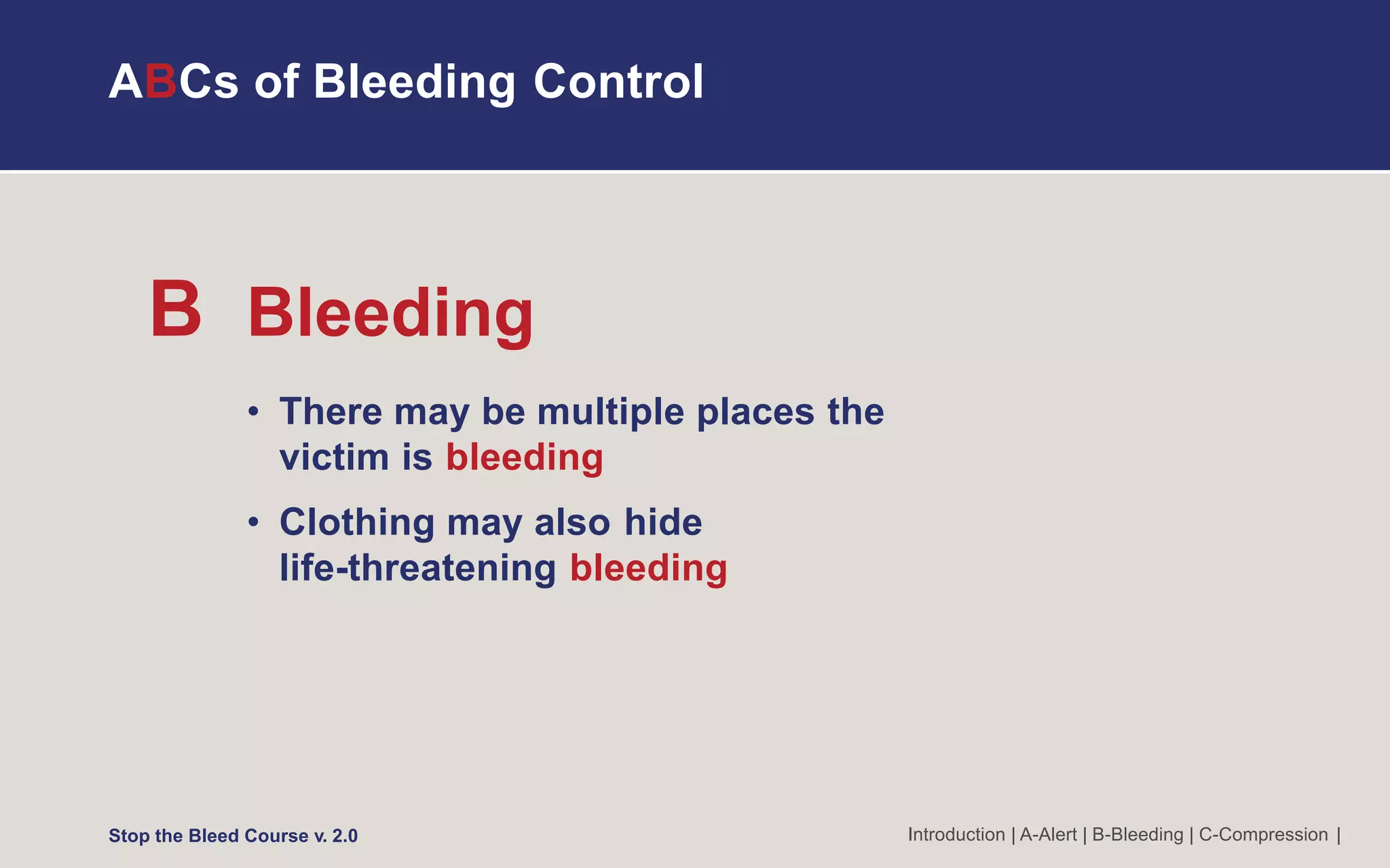 lay-public-stop-the-bleed-presentation-ppt.pptx