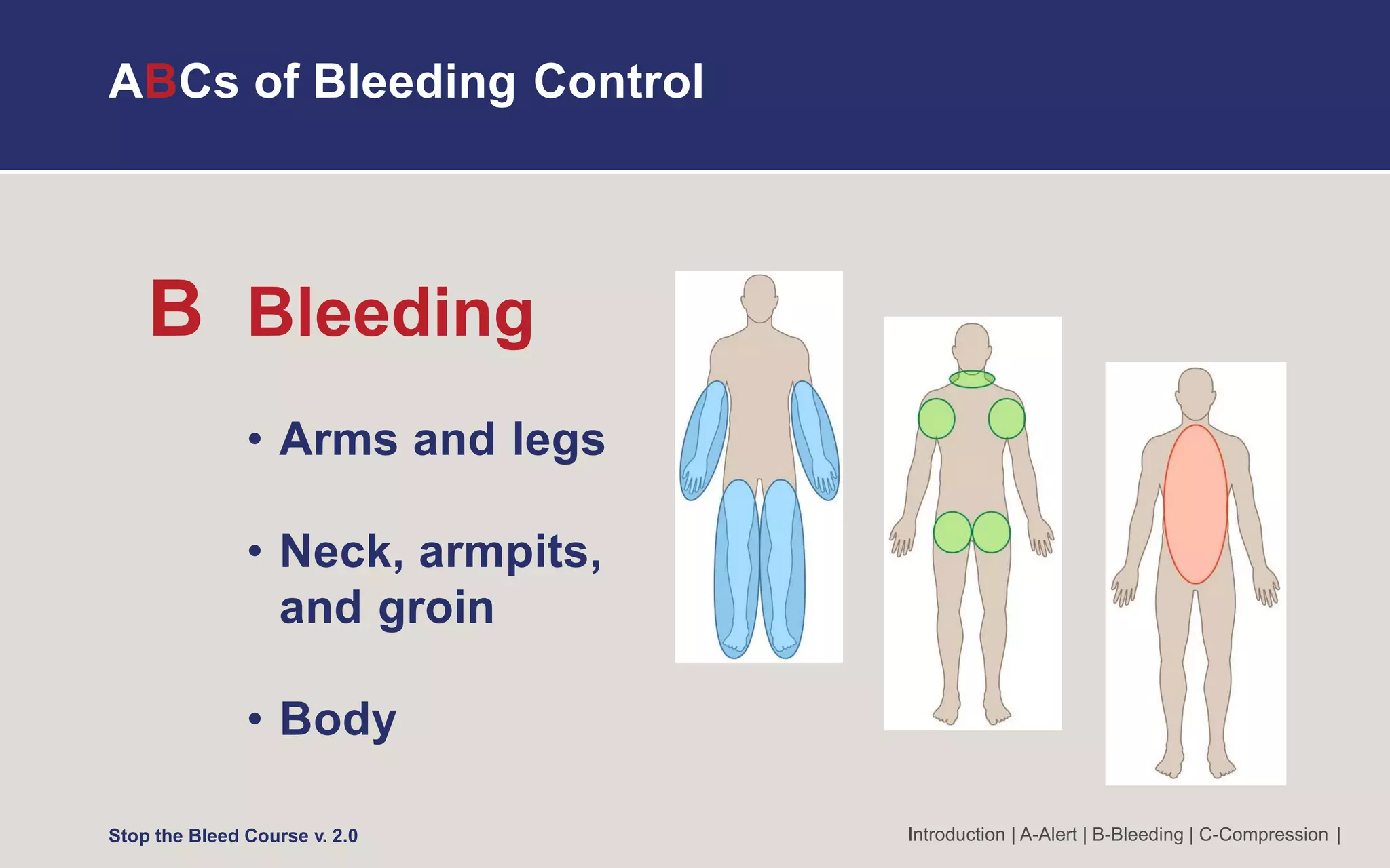 lay-public-stop-the-bleed-presentation-ppt.pptx