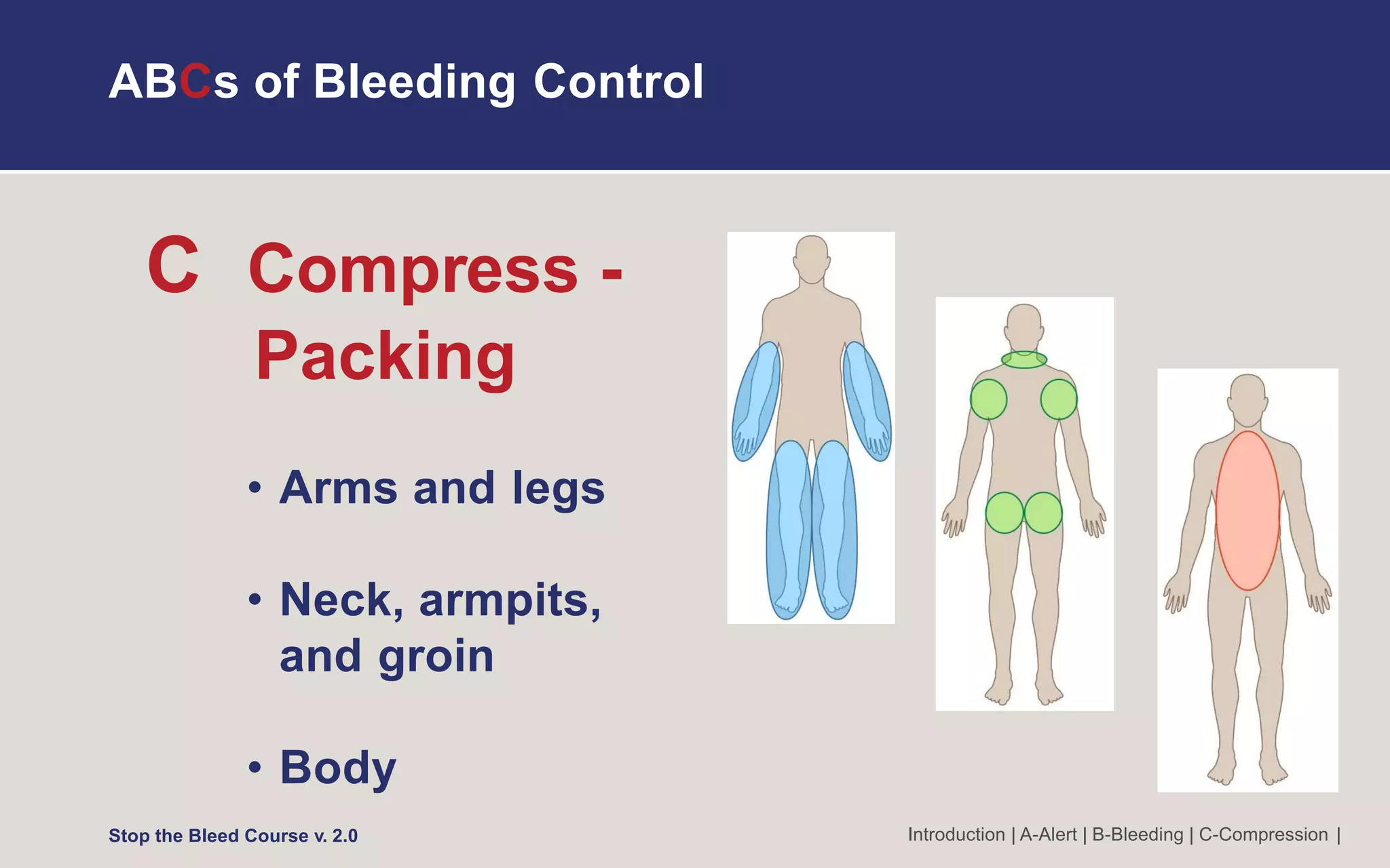lay-public-stop-the-bleed-presentation-ppt.pptx