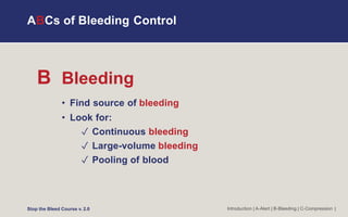 lay-public-stop-the-bleed-presentation-ppt.pptx