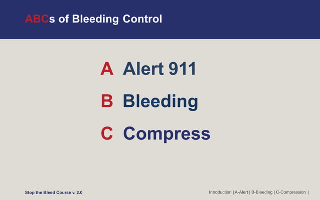 lay-public-stop-the-bleed-presentation-ppt.pptx