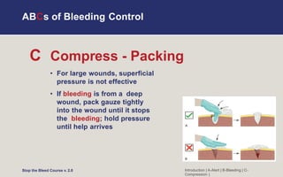 lay-public-stop-the-bleed-presentation-ppt.pptx