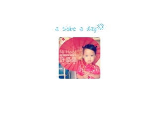 A Siobe a Day | PDF