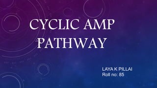 Laya k pillai | PPTX