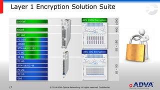 Layer 1 Encryption in WDM Transport Systems | PPT