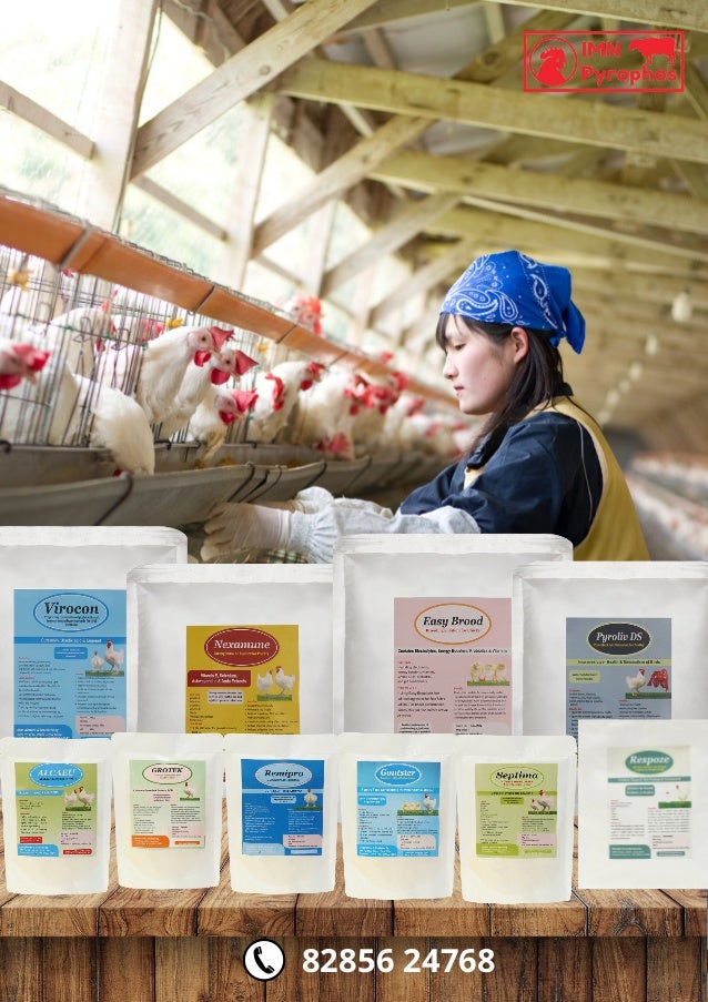 Layer bird medicine schedule | PDF