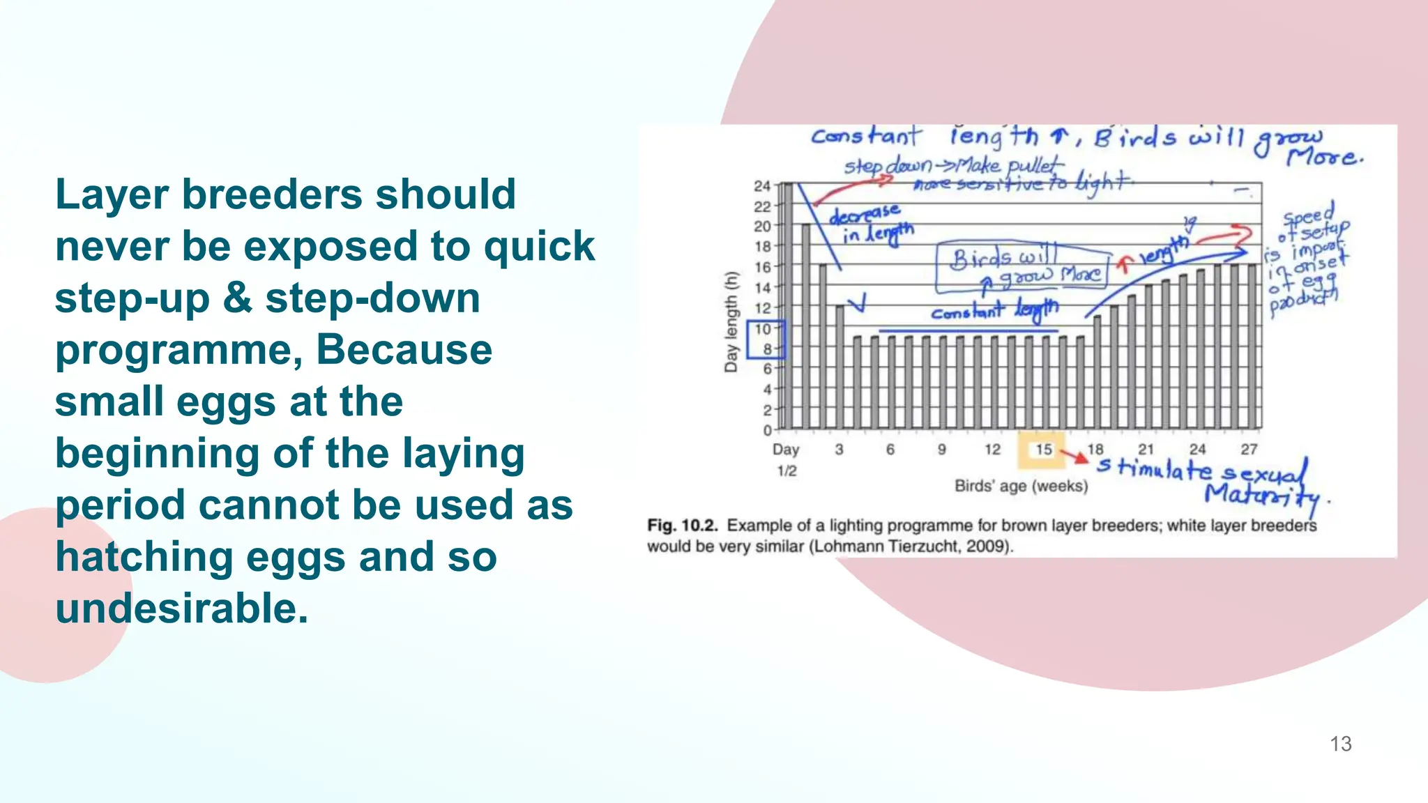 Layer breeder management by Dr.Nikhil Nalabale | PPTX