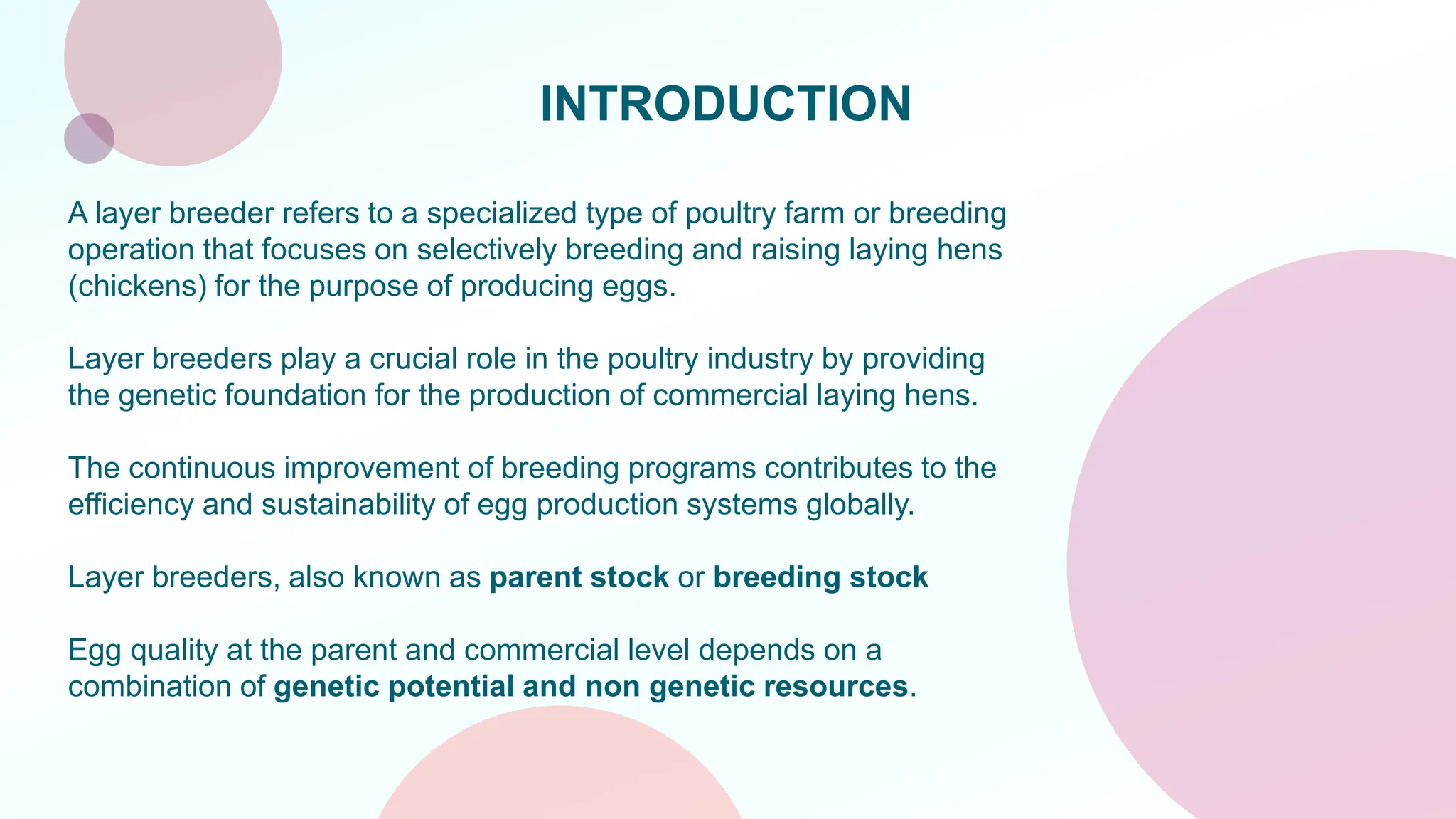 Layer breeder management by Dr.Nikhil Nalabale | PPTX