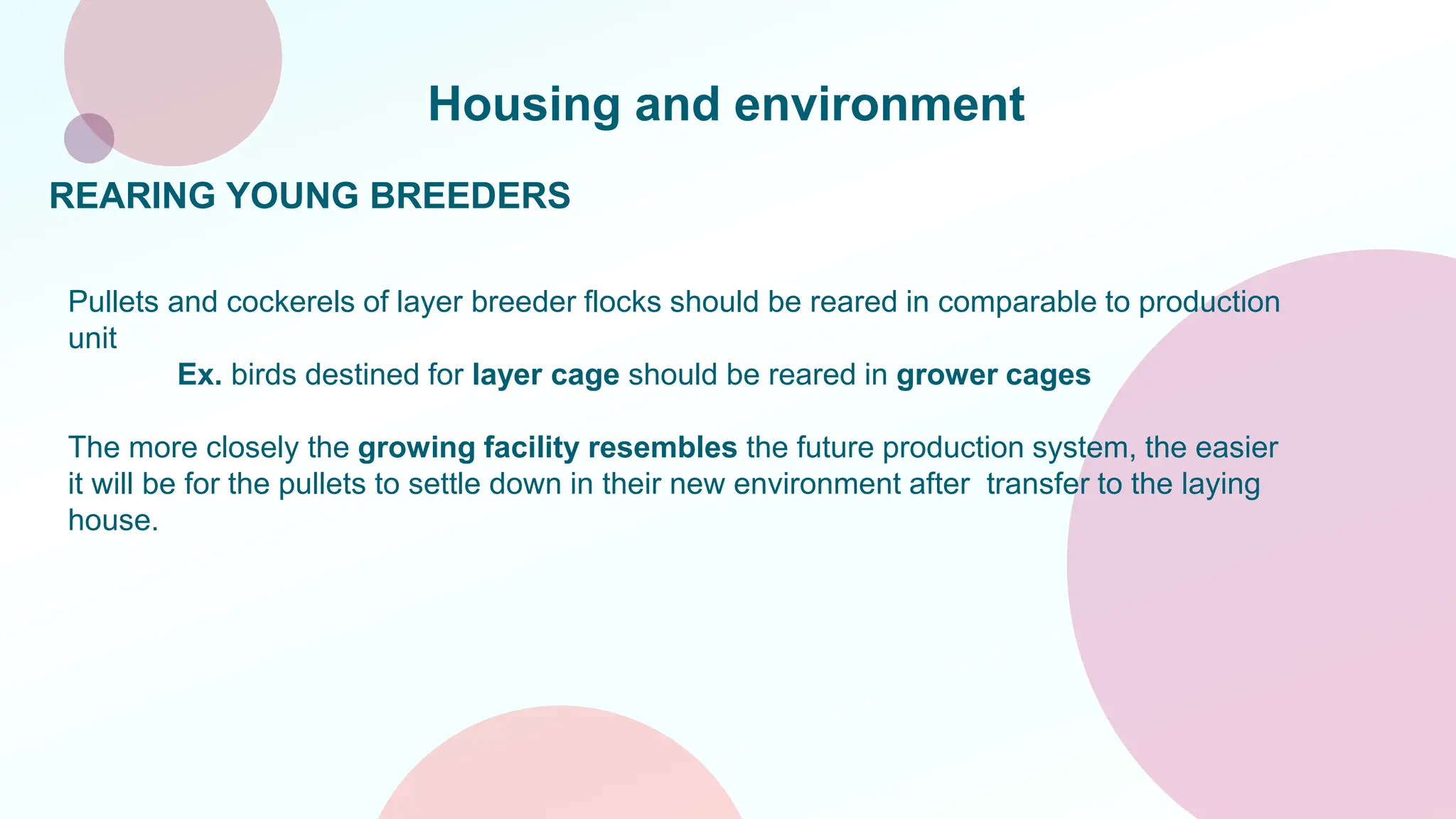 Layer breeder management by Dr.Nikhil Nalabale | PPTX