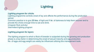 Layer breeder management by Dr.Nikhil Nalabale | PPTX