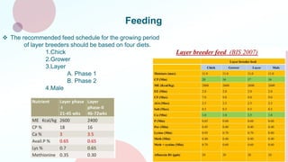 Layer breeder management by Dr.Nikhil Nalabale | PPTX