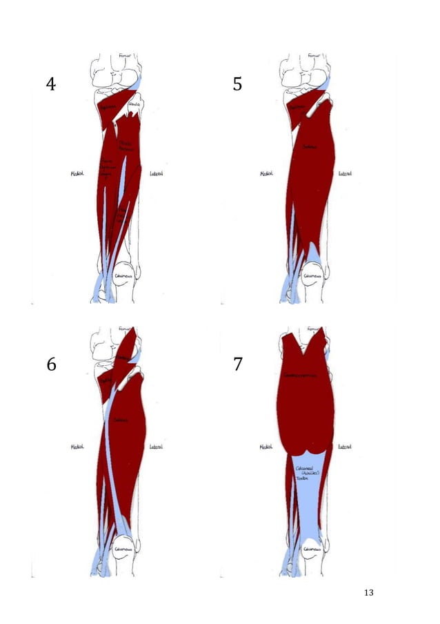 Layered Learning | PDF
