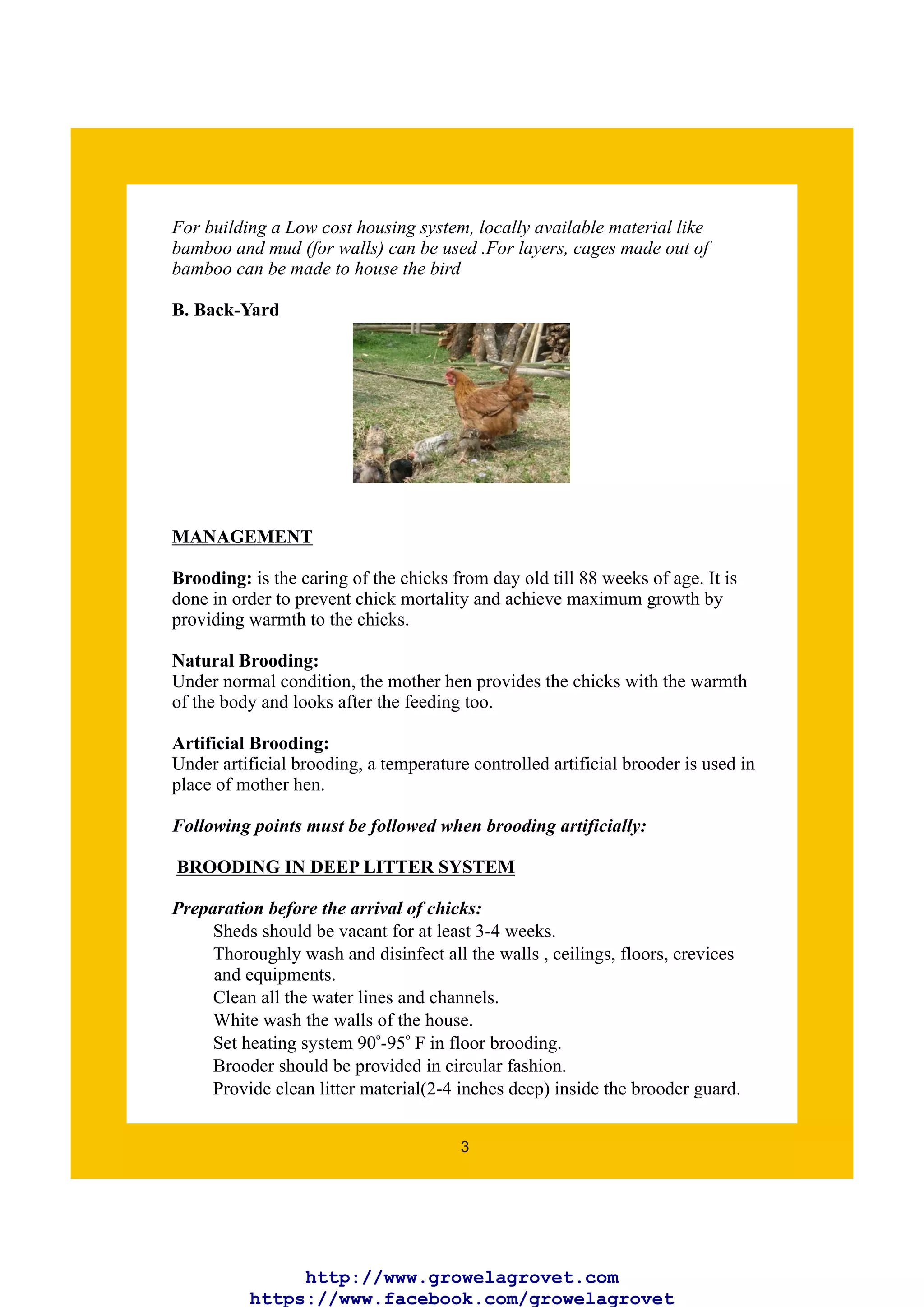 A Begineers Guide to Poultry Layer Farming | PDF